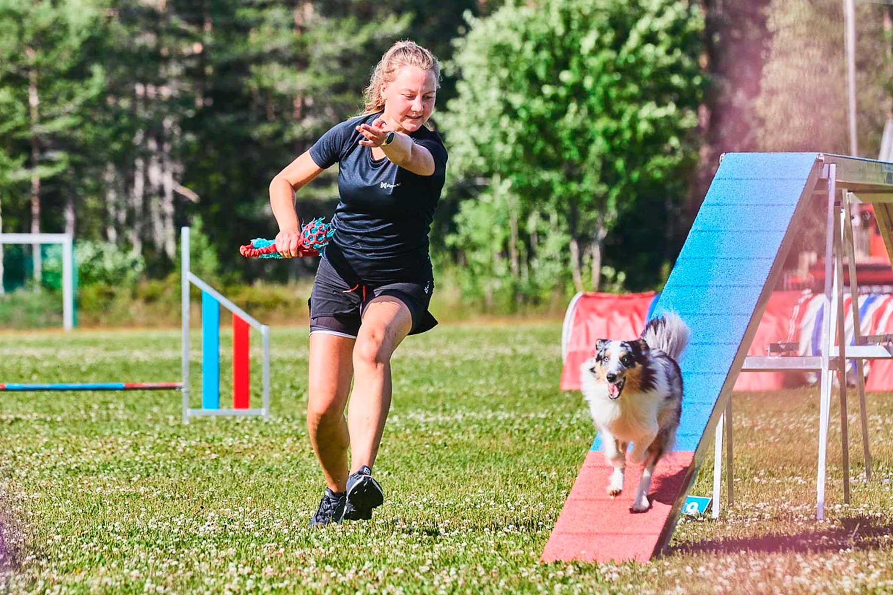 Agility – Petfit gear